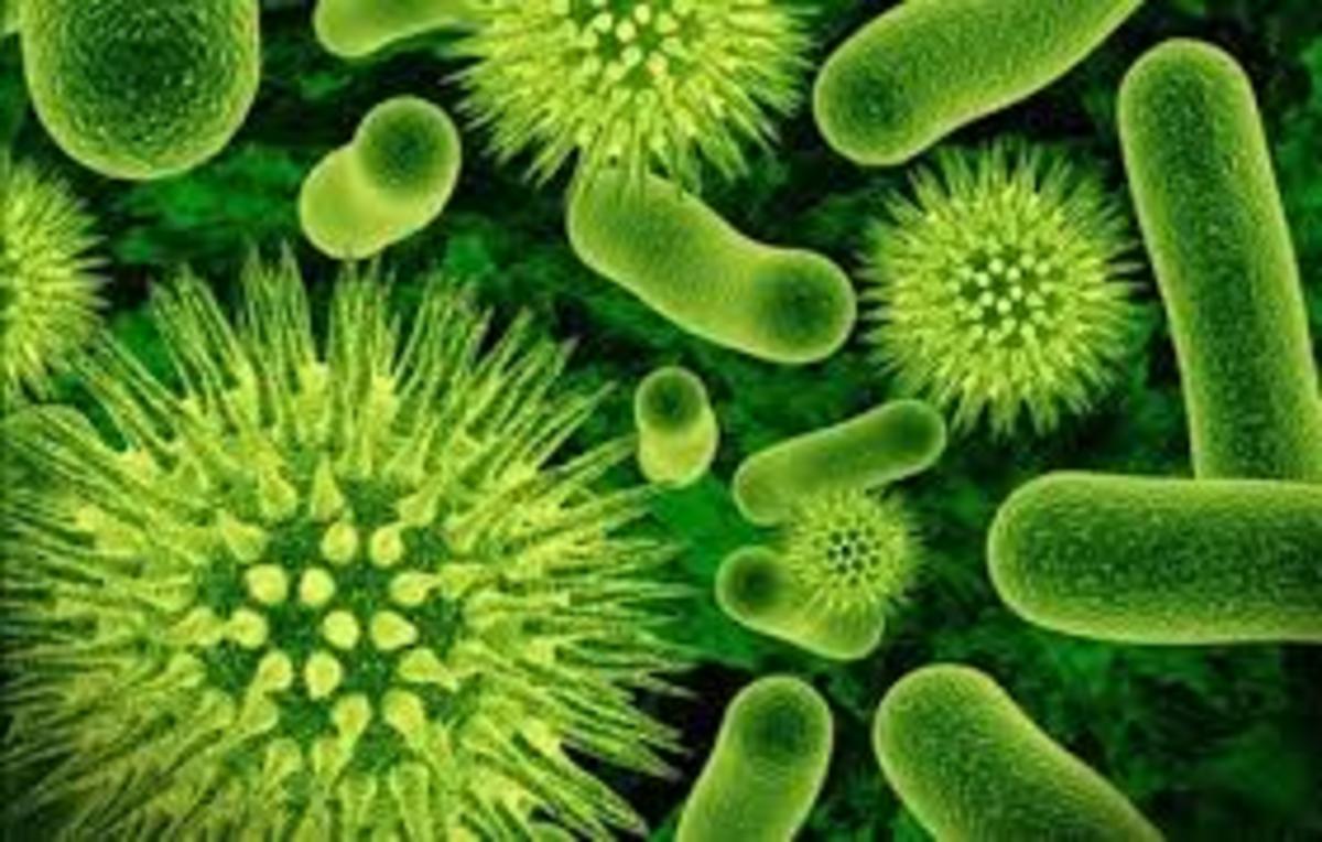 Δείτε ποια παράσιτα ζουν μέσα μας! Βίντεο
