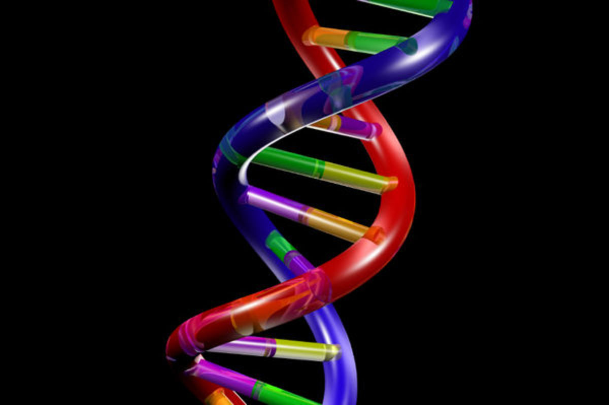 Η μεγαλύτερη επιστημονική έρευνα για το DNA αλλάζει τα δεδομένα