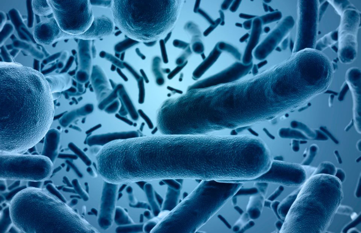 Το γονίδιο για τα "ανθεκτικά" μικρόβια βρέθηκε σε Δανία και Μεγάλη Βρετανία