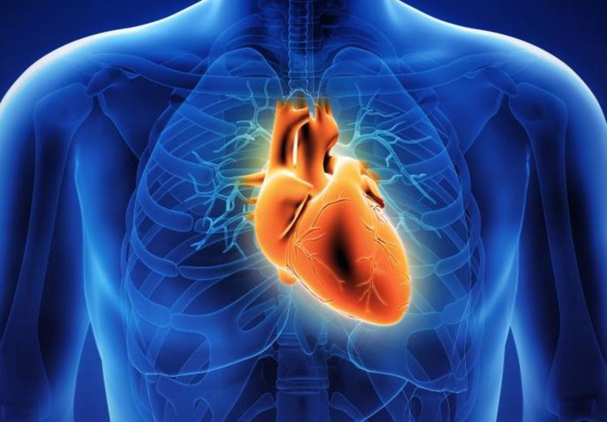 Βραδυκαρδία: Πώς θα την καταλάβετε και πότε πρέπει να πάτε στον γιατρό