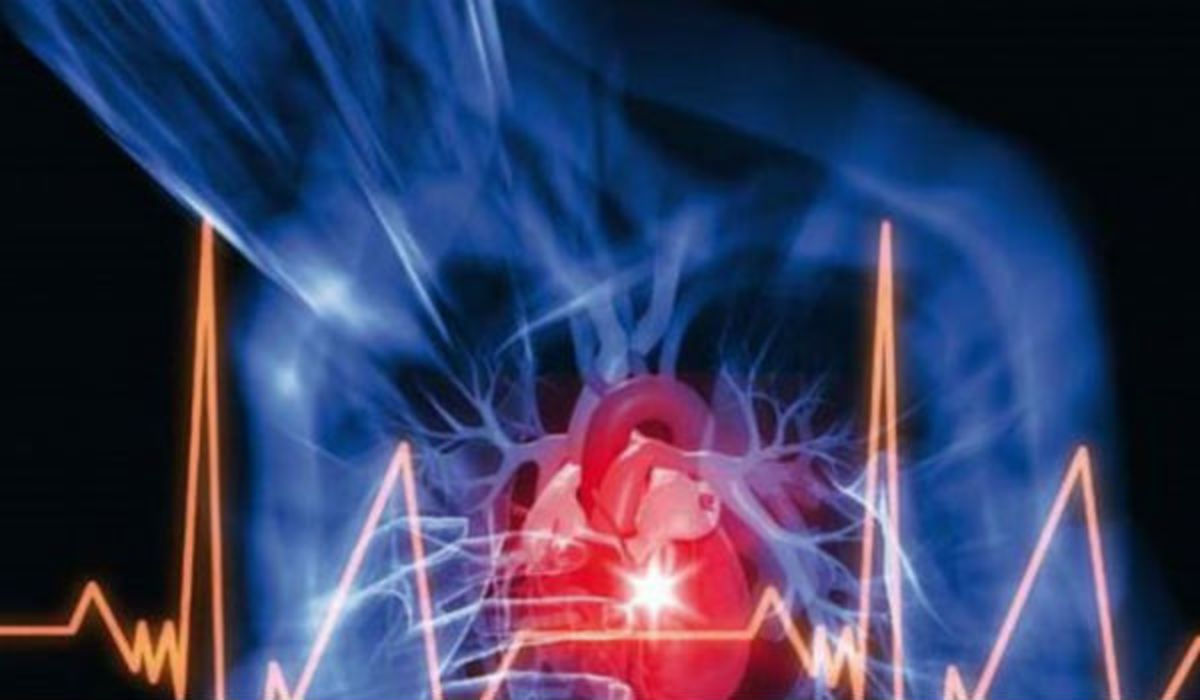 Ανακάλυψη νέου επιγονιδιωματικού μηχανισμού στην καρδιαγγειακή νόσο με ...