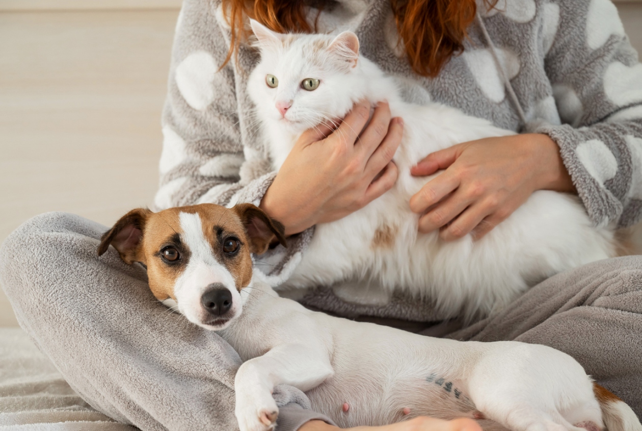 Κατοικίδια και άνθρωποι μπορεί να μοιράζονται επικίνδυνα μικρόβια ...