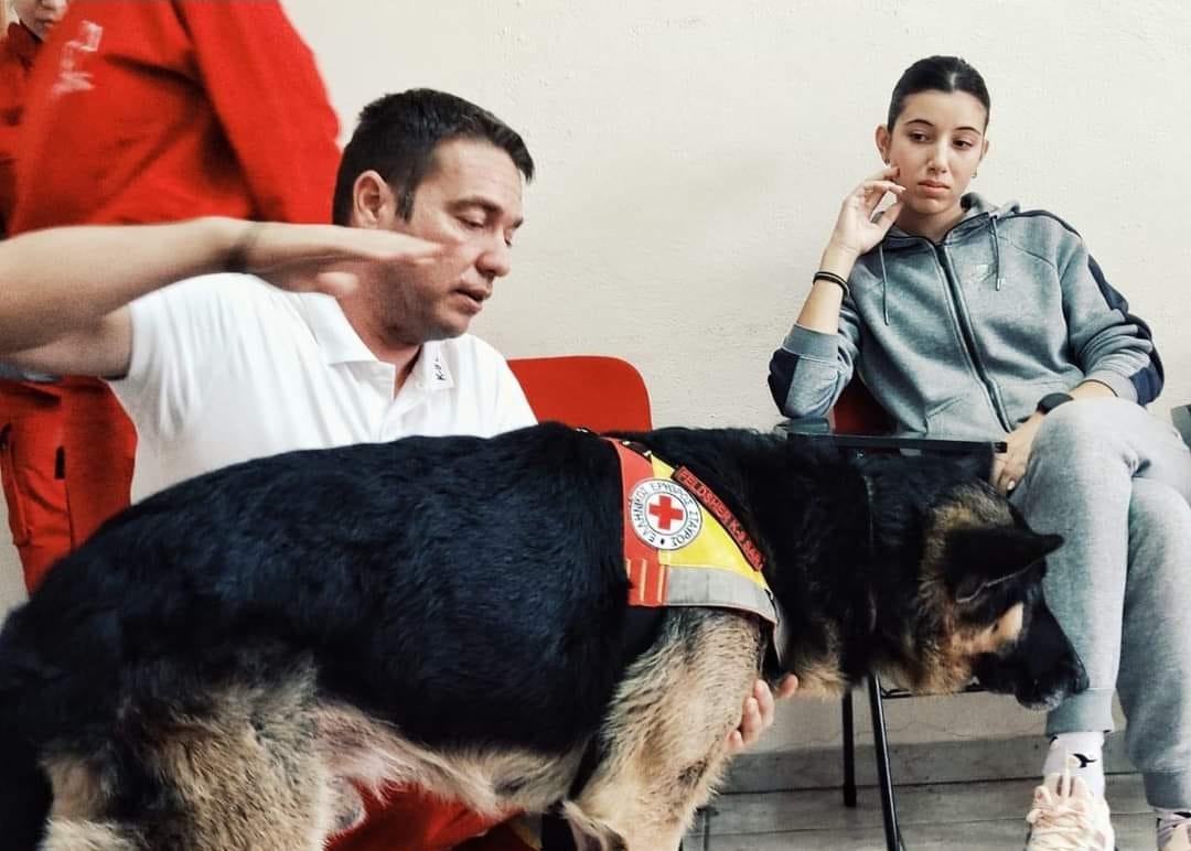 Ελληνικός Ερυθρός Σταυρός: Σεμινάρια Πρώτων Βοηθειών για σκύλους