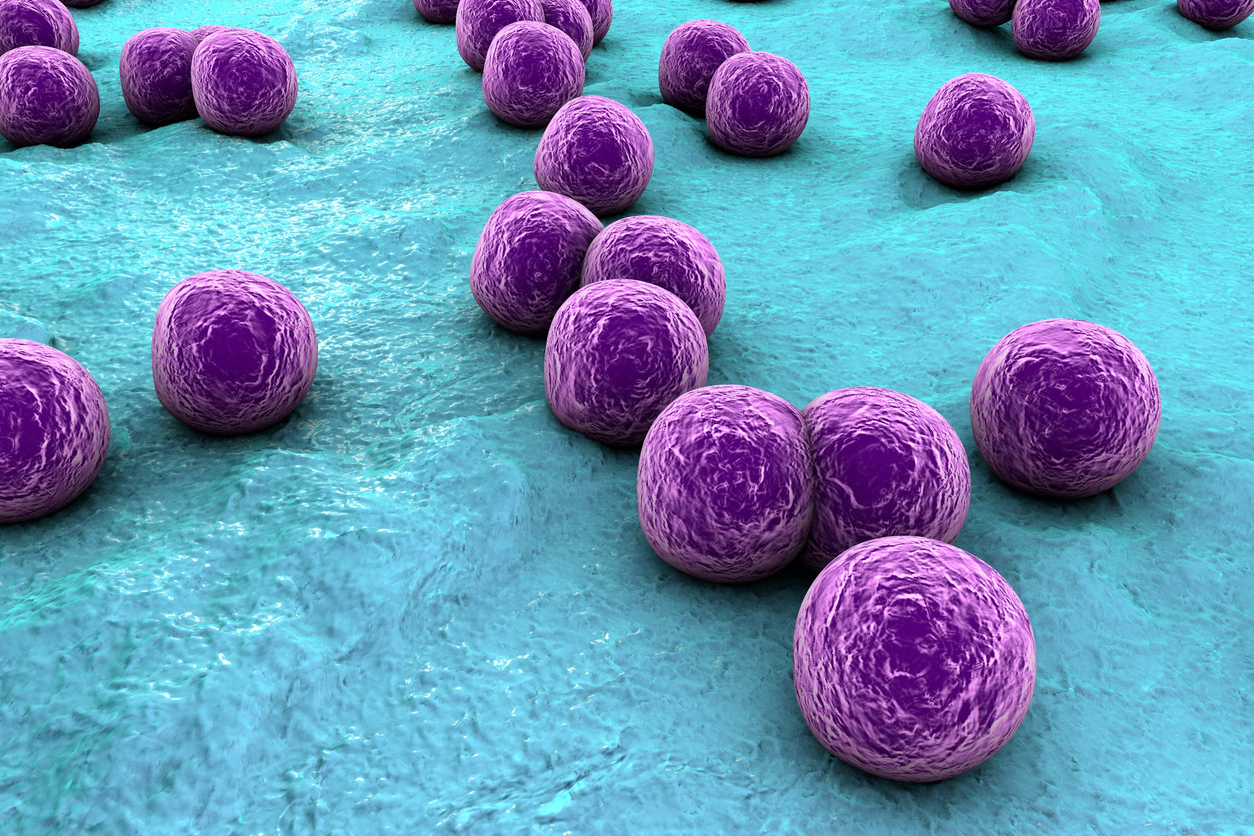 Σταφυλόκοκκος (Staphylococcus aureus): Τι είναι, πώς μεταδίδεται, ποιοι ...