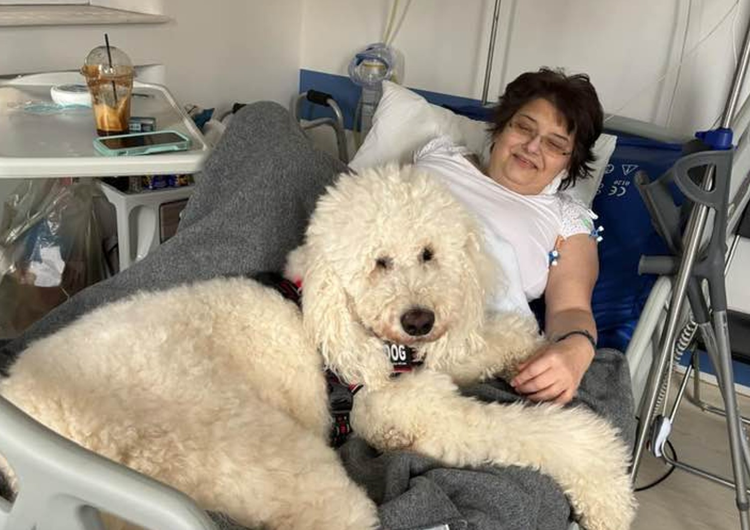 Γενικό Κρατικό Νίκαιας: Ο Βαγγέλης, είναι ο πρώτος σκύλος θεραπείας για ...